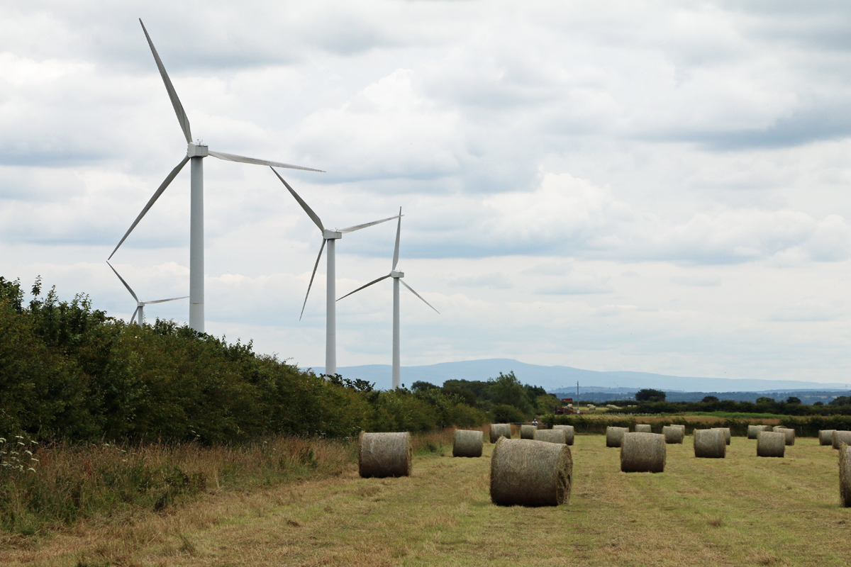 Watchtree Nature Reserve – Headway North Cumbria
